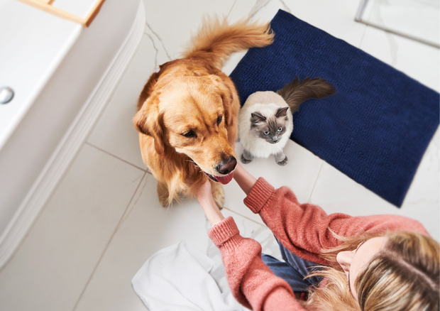 Virbac Pet Skincare: Shampoos & Hygiene Products for Dogs & Cats - New ...