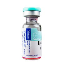 Canigen® DHA2PPi - Modified live viral core vaccine for dogs | Virbac