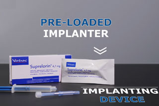 Suprelorin® - Reversable Chemical Castration / Neutering Implant for dogs | Virbac